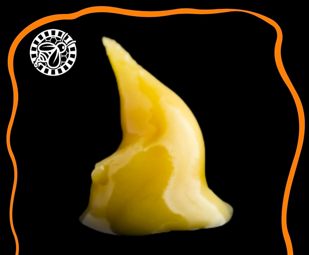 BEEZLE BRANDS: The Number One Cannabis Product Brand.