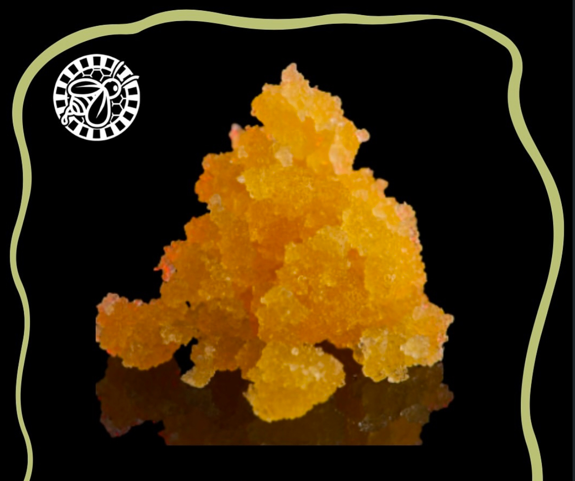 BEEZLE BRANDS: The Number One Cannabis Product Brand.